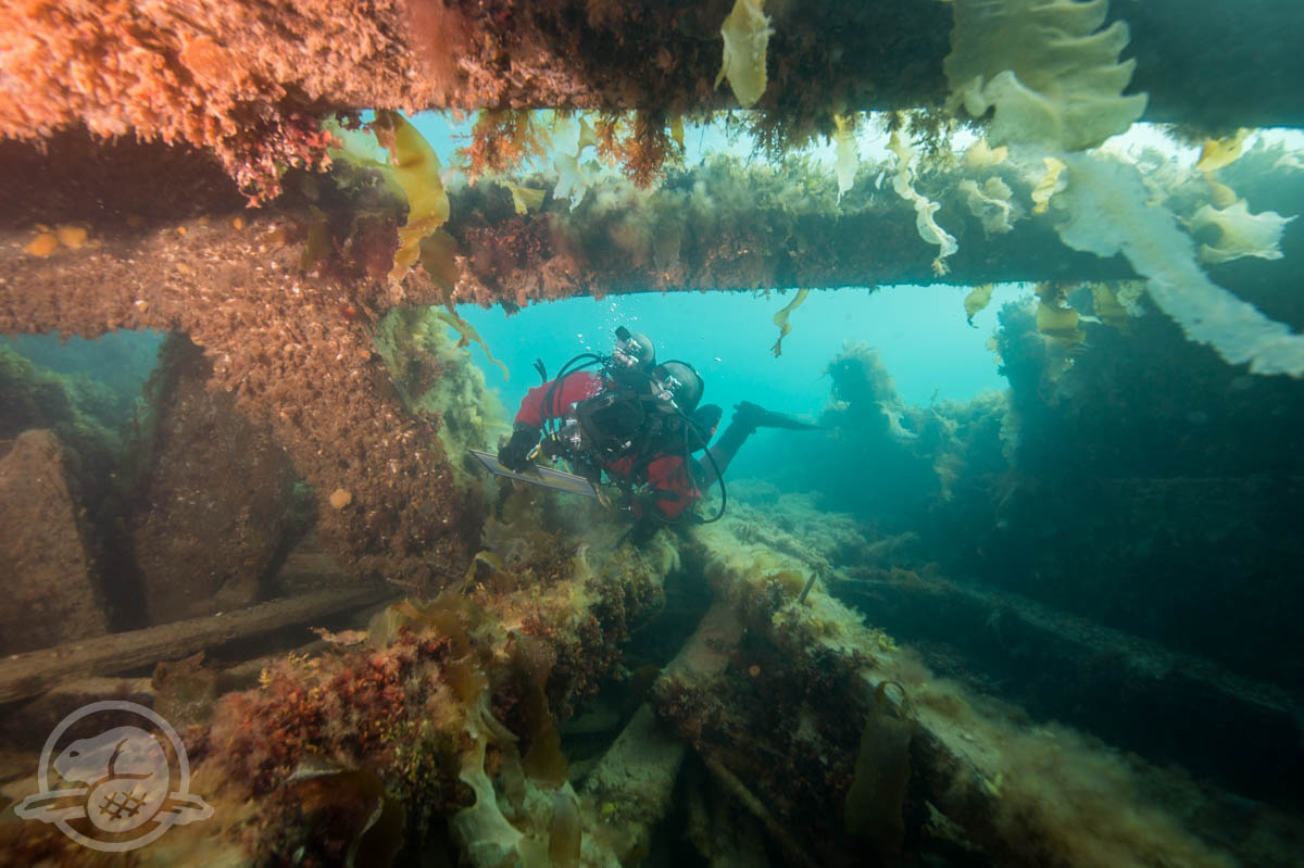 HMS Erebus Hull Damage