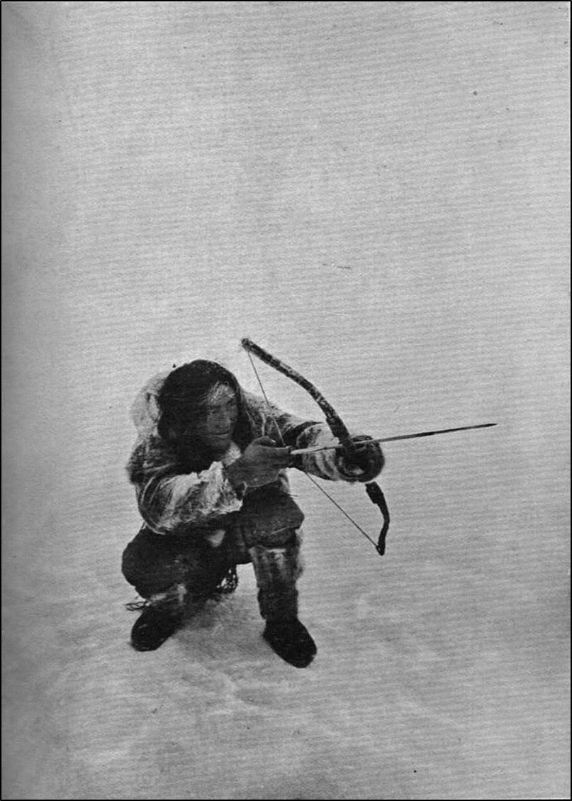 The ‘Owl’ as Archer